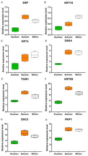 Transcriptome Analysis Reveals Genes Contributed to Min Pig Villi Hair ...