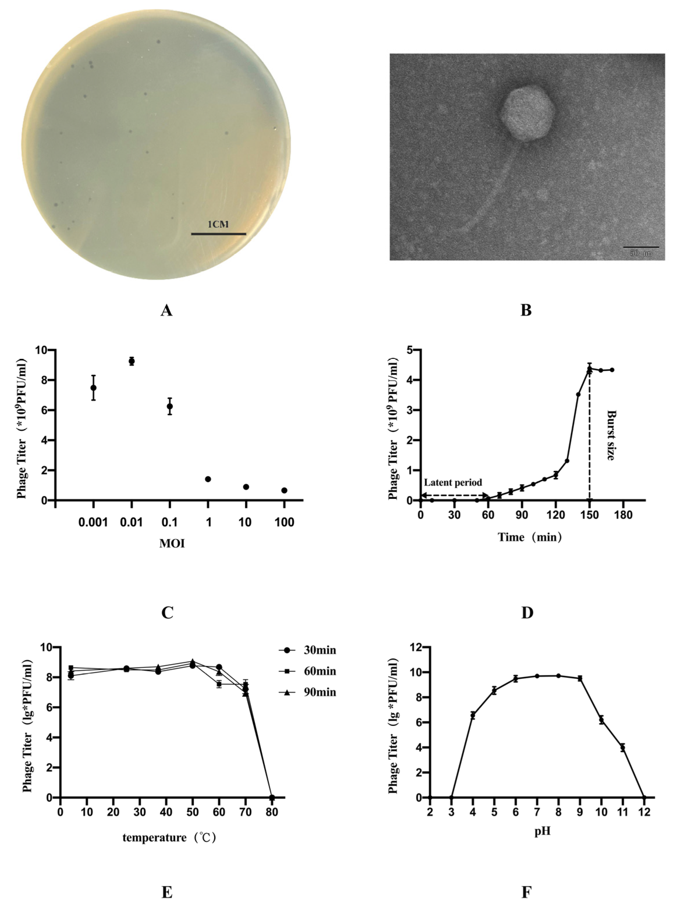 Isolation, Characterization and Whole Genome Analysis of an Avian Pathogenic Escherichia coli ...