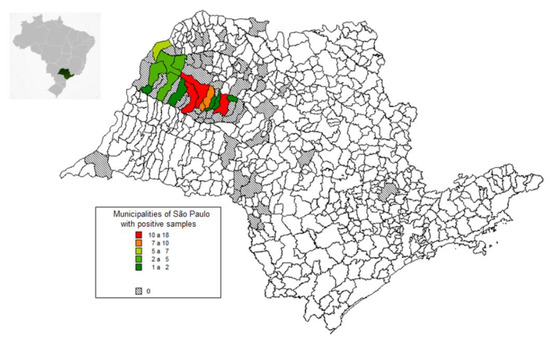 Rabies in Bats (Chiroptera, Mammalia) in Brazil: Prevalence and ...