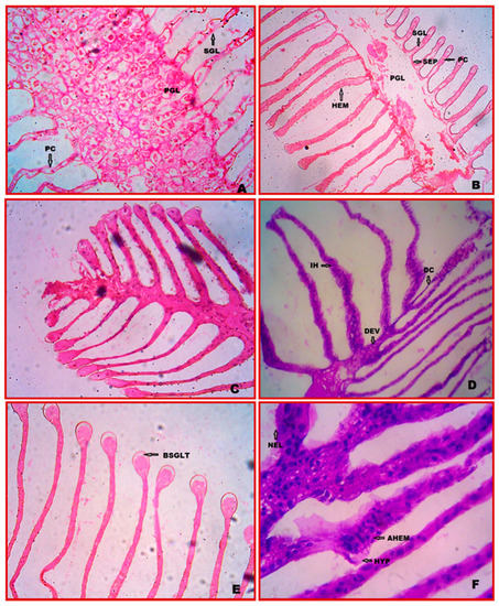 Impact of Chlorpyrifos on Cytopathological Indices in Mangrove Crab ...
