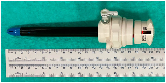 Complications in Laparoscopic Access in Standing Horses Using Cannula ...