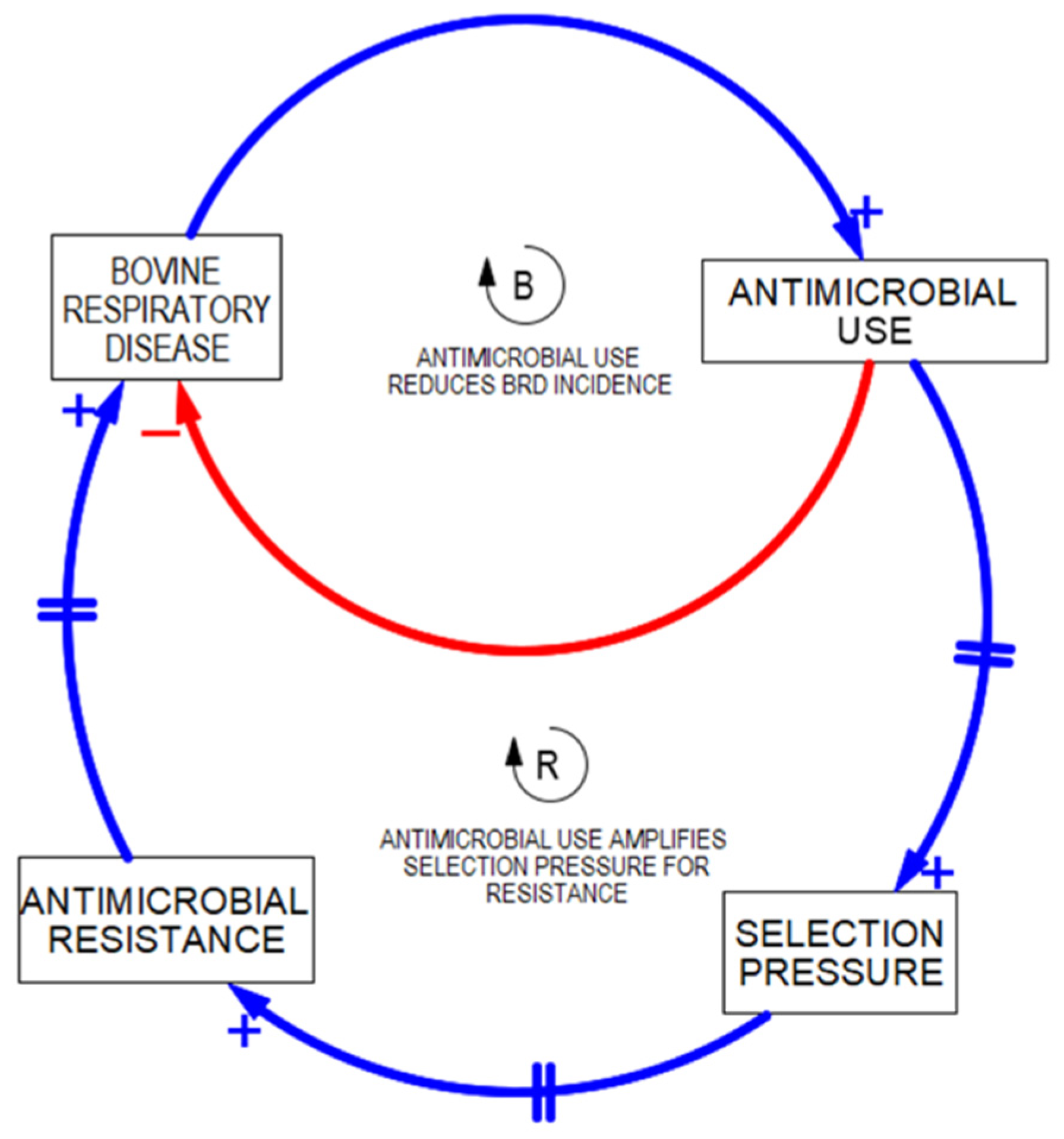 Veterinary Sciences | Free Full-Text | Assessing the Role of Systems ...
