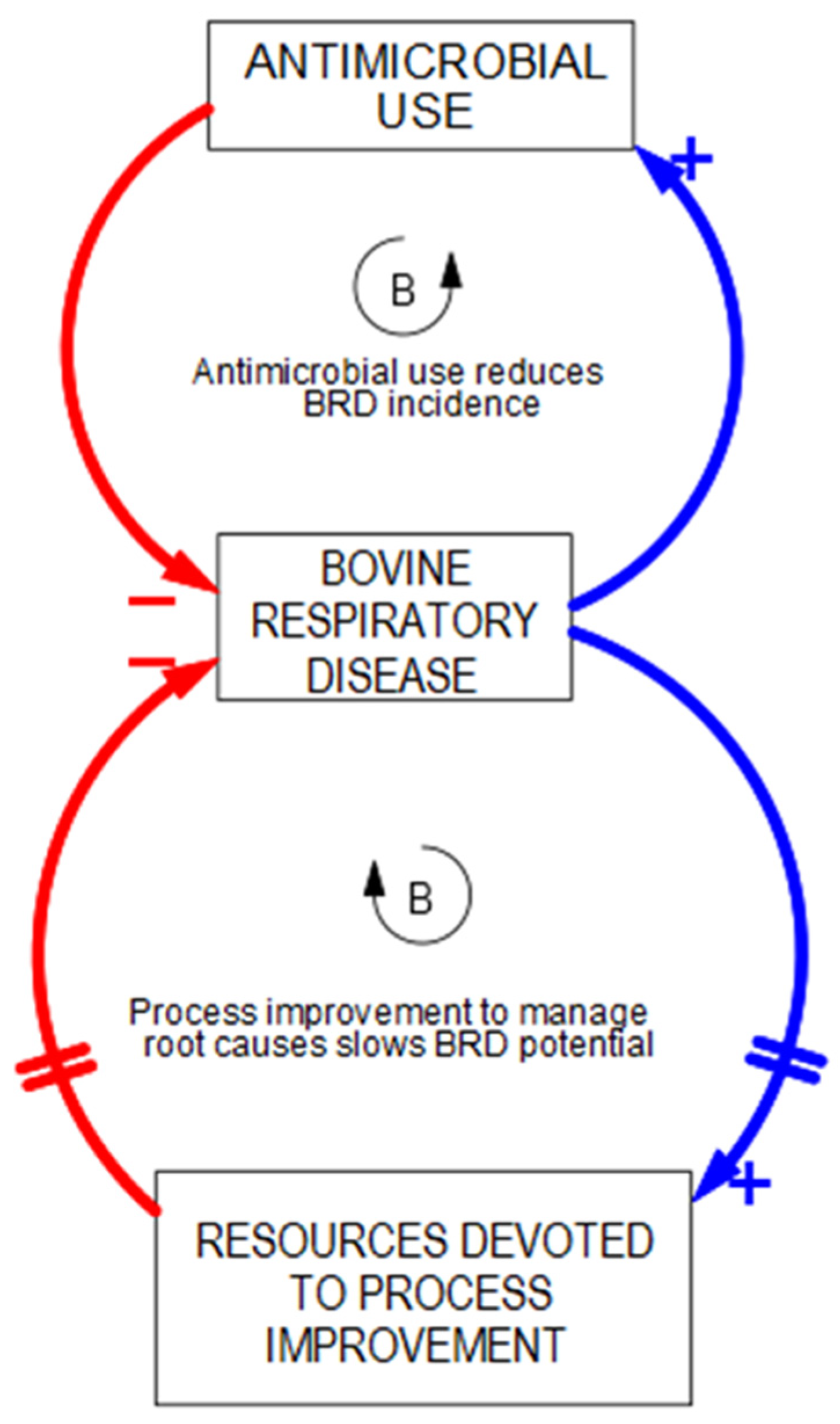 Veterinary Sciences | Free Full-Text | Assessing the Role of Systems ...