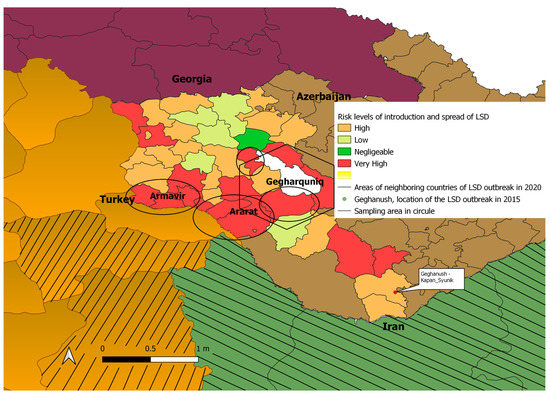 Veterinary Sciences | Free Full-Text | The Serological Response in ...