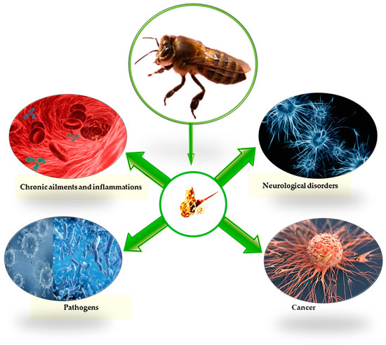 Therapeutic Use of Bee Venom and Potential Applications in Veterinary ...