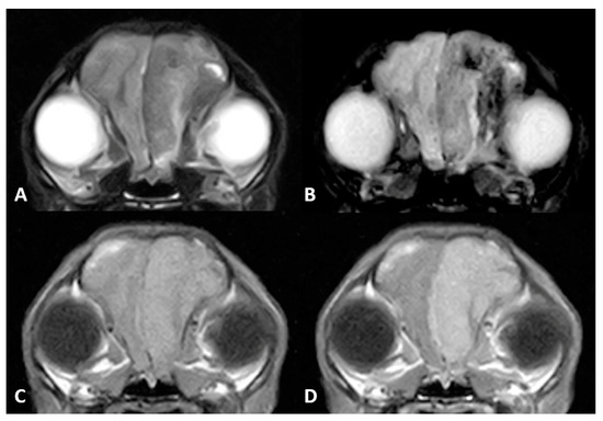 Intracranial Granular Cell Tumours in Three Dogs: Atypical Magnetic ...