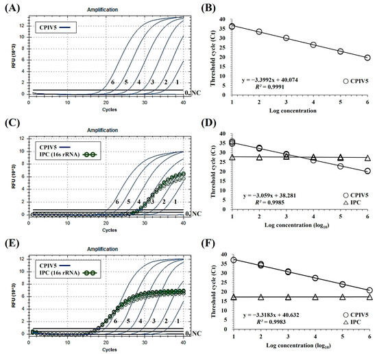 Veterinary Sciences | Free Full-Text | An Improved Duplex Real-Time ...
