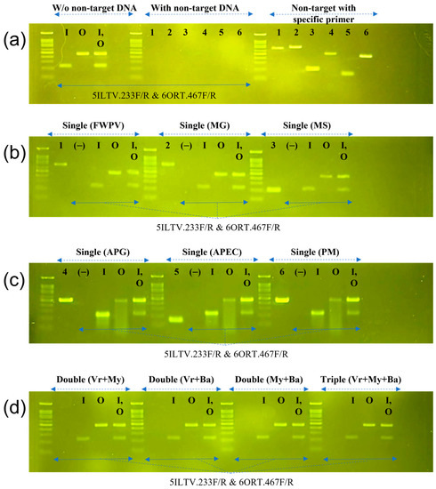 A Multiplex PCR Method for Simultaneous Detection of Infectious ...