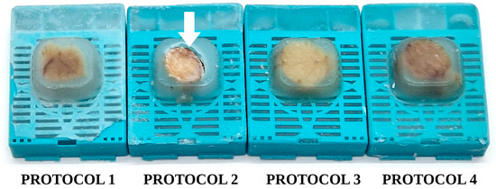 Quality Assurance and Cost Reduction in Histopathology Laboratories ...