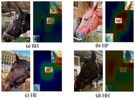 Analysis of Various Facial Expressions of Horses as a Welfare Indicator ...