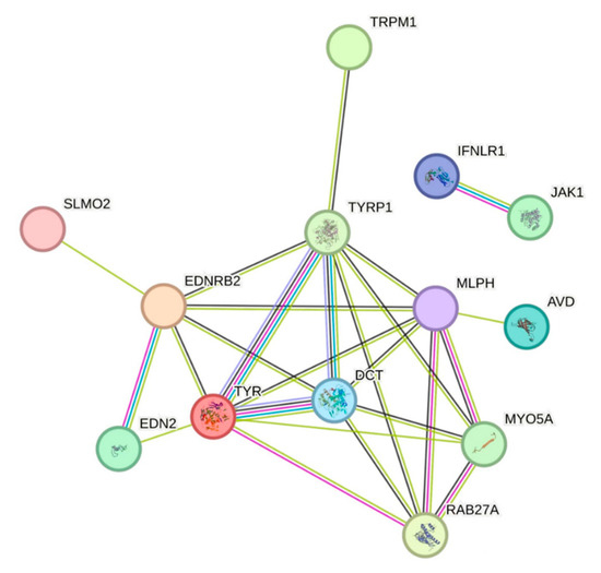 Transcriptome Profile Analysis Identifies Candidate Genes for the ...