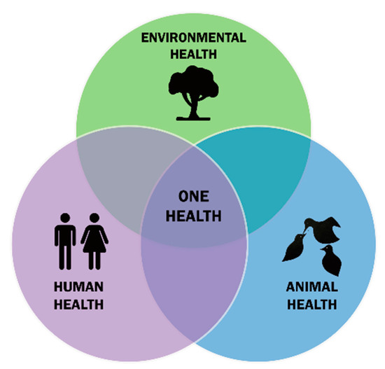 Veterinary Education and Training on Non-Traditional Companion Animals ...