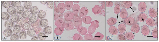 Effectiveness Evaluation of Viti’s vinifera Leaf Extract on the ...