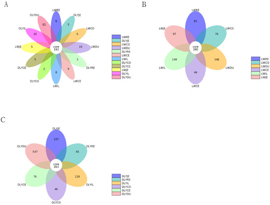 Comparative Analysis of Structural Composition and Function of ...