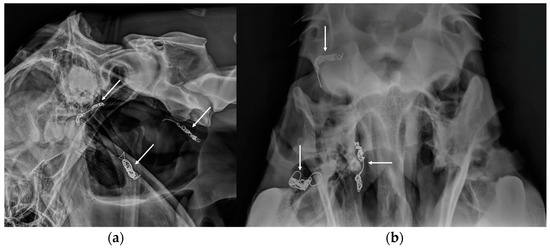 Diagnostic Imaging of Diseases Affecting the Guttural Pouch