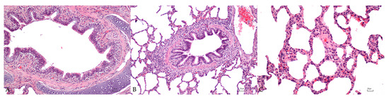 The Synergic Role of Emerging and Endemic Swine Virus in the Porcine ...