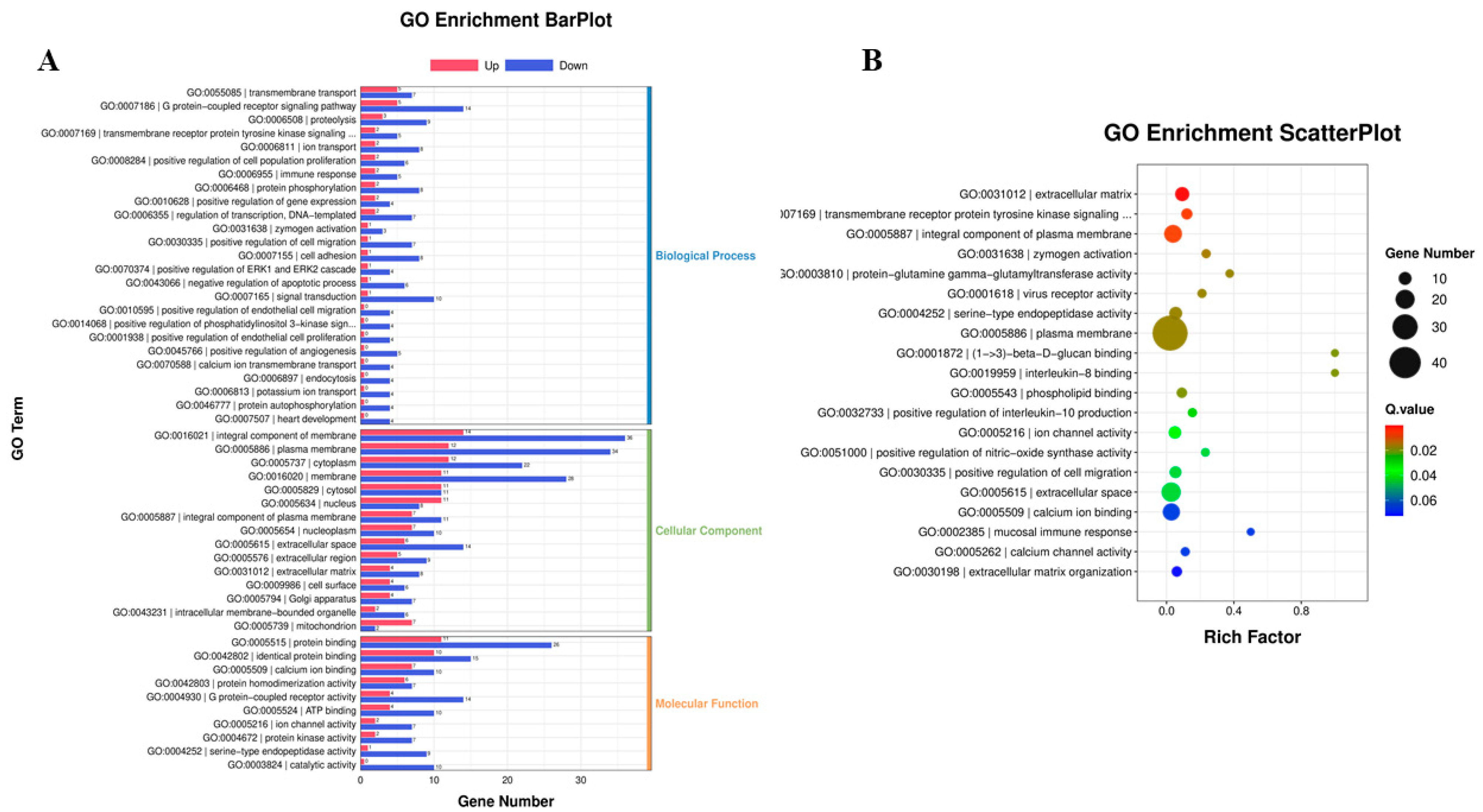 Veterinary Sciences | Free Full-Text | Integrative Transcriptomics and ...