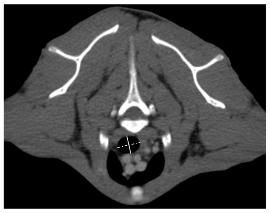 Comparison of the Trachea in Normocephalic versus Brachycephalic Cats ...