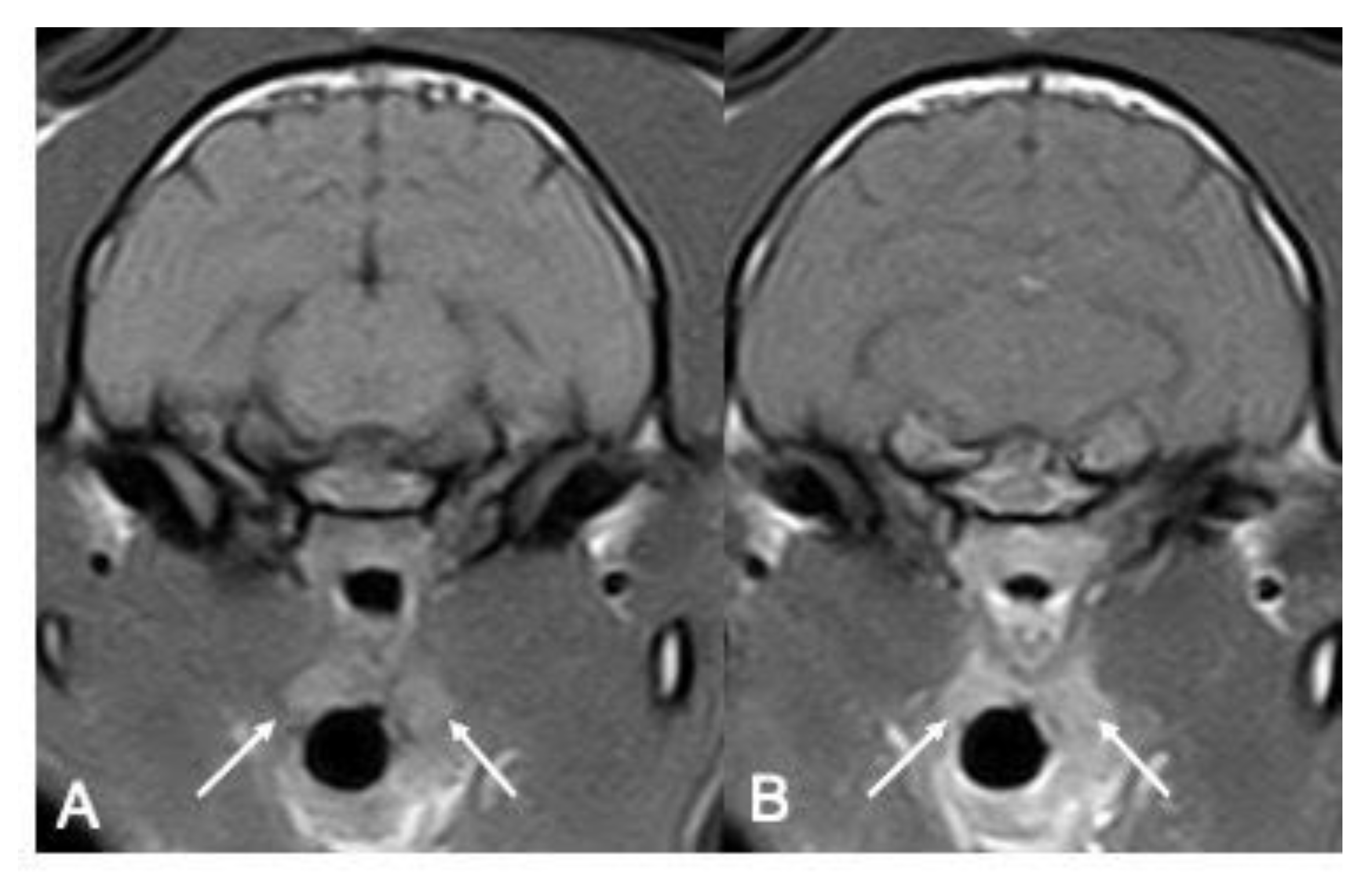 Evaluation of Presumptive Normal Feline Tonsils with Low-Field Magnetic ...