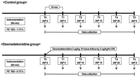 Cardiovascular and Respiratory Effects of Increased Intra-Abdominal ...