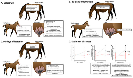 Veterinary Sciences | Free Full-Text | Obesity during Pregnancy in the ...