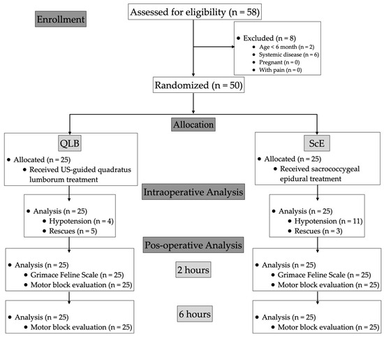 Comparison between Bilateral Ultrasound-Guided Quadratus Lumborum Block ...