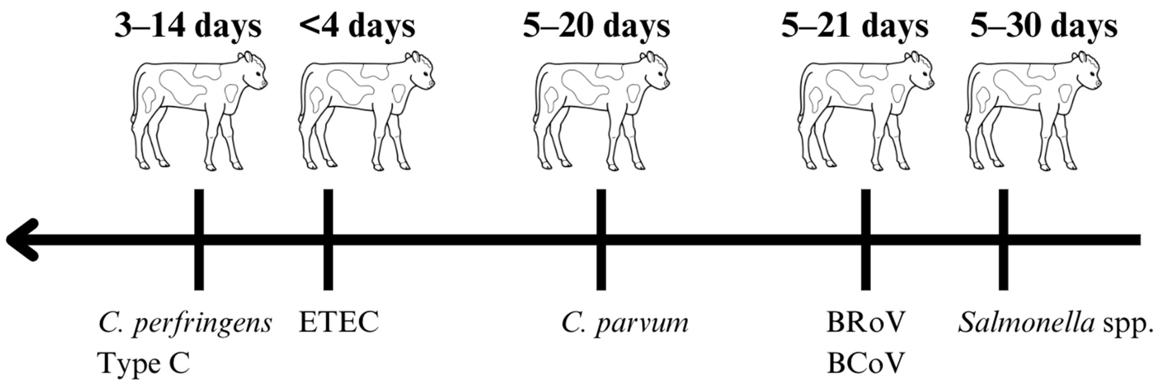 Neonatal Calf Diarrhea and Gastrointestinal Microbiota: Etiologic ...