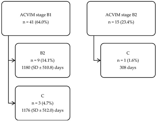 Myxomatous Mitral Valve Disease in Large Breed Dogs: Survival ...