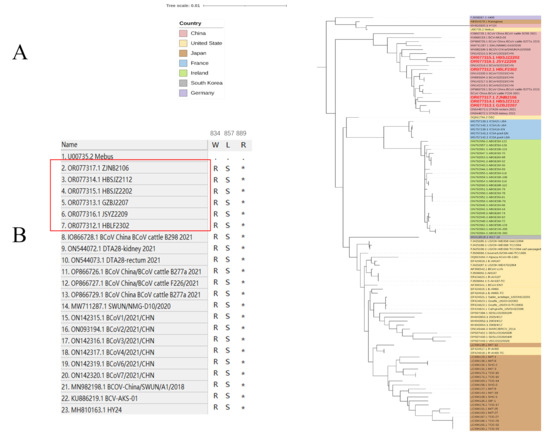 Prevalence and Evolutionary Characteristics of Bovine Coronavirus in China