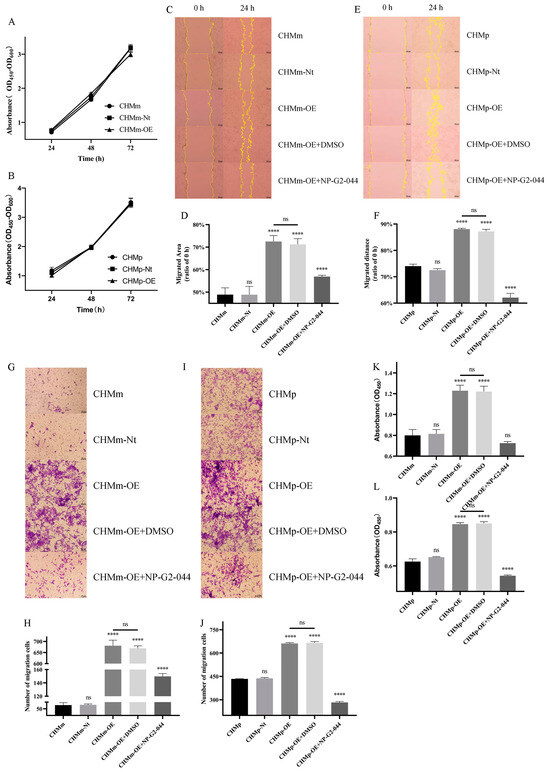 Fascin-1 Promotes Cell Metastasis through Epithelial–Mesenchymal ...