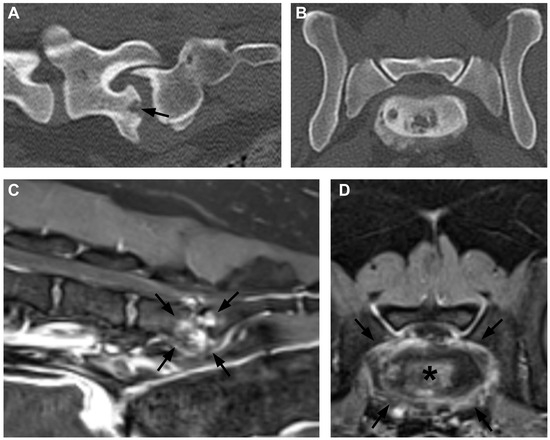 Causal Agent Investigation and Treatment of Dogs Diagnosed with ...