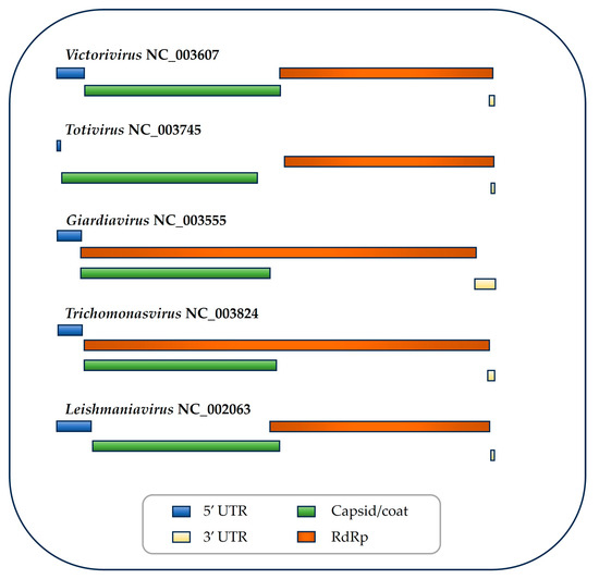 Microbial Matryoshka: Addressing the Relationship between Pathogenic ...