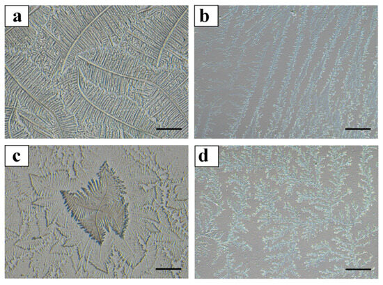 An Observation of the Microstructure of Cervical Mucus in Cows during ...