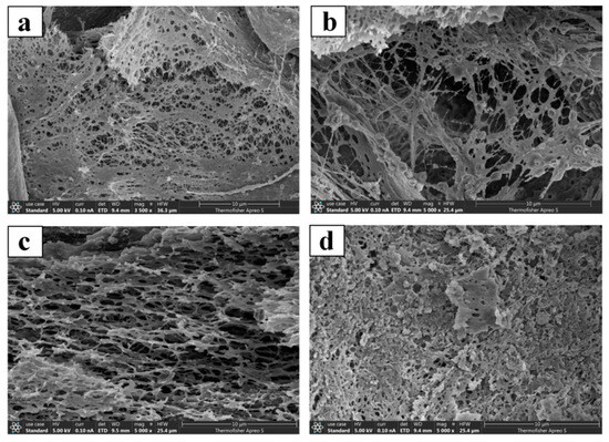 An Observation of the Microstructure of Cervical Mucus in Cows during ...