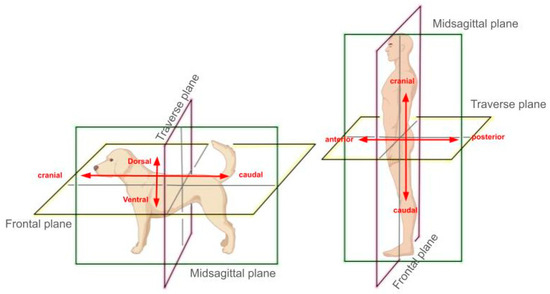 Overcoming Challenges in Interdisciplinary Collaboration Between Human ...