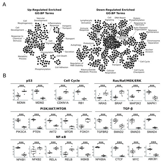 Longitudinal Study of Transcriptomic Changes Occurring over Six Weeks ...