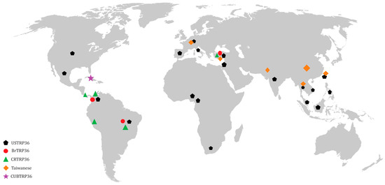 Ehrlichia canis Vaccine Development: Challenges and Advances