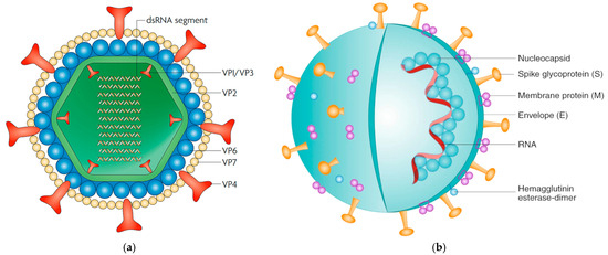 Comparative Insights into Acute Gastroenteritis in Cattle Caused by ...