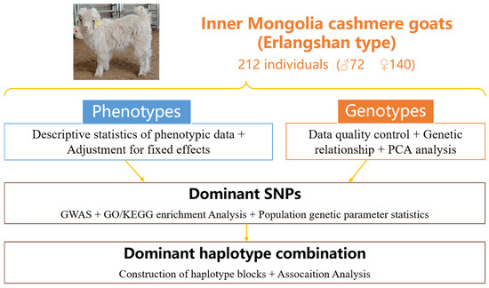 Genome-Wide Association Analysis Revealed Candidate Genes Related to ...