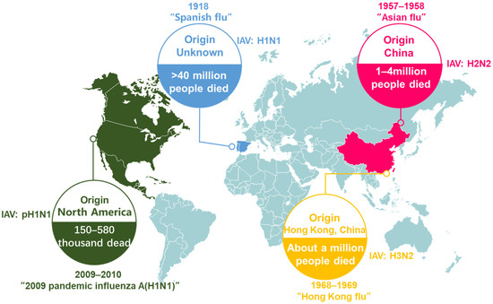 A Review of Cross-Species Transmission Mechanisms of Influenza Viruses