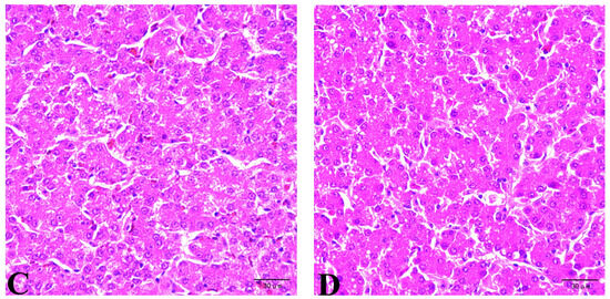 The Efficacy of Two Mycotoxin Detoxifications on Laying Performance ...