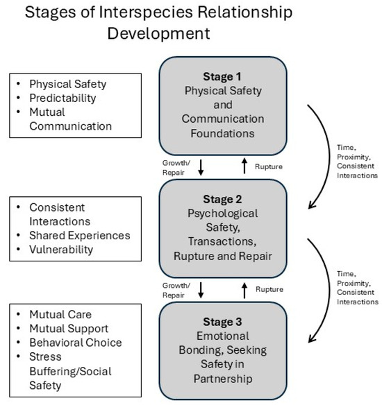 Interspecies Relational Theory: A Framework for Compassionate ...