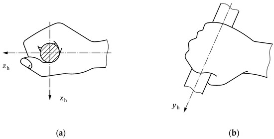 Influence of Coupling Forces and Body Posture on the Rotational Hand ...