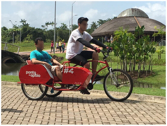 Modal, Structural, and Comfort Analyses for Improving Customized ...