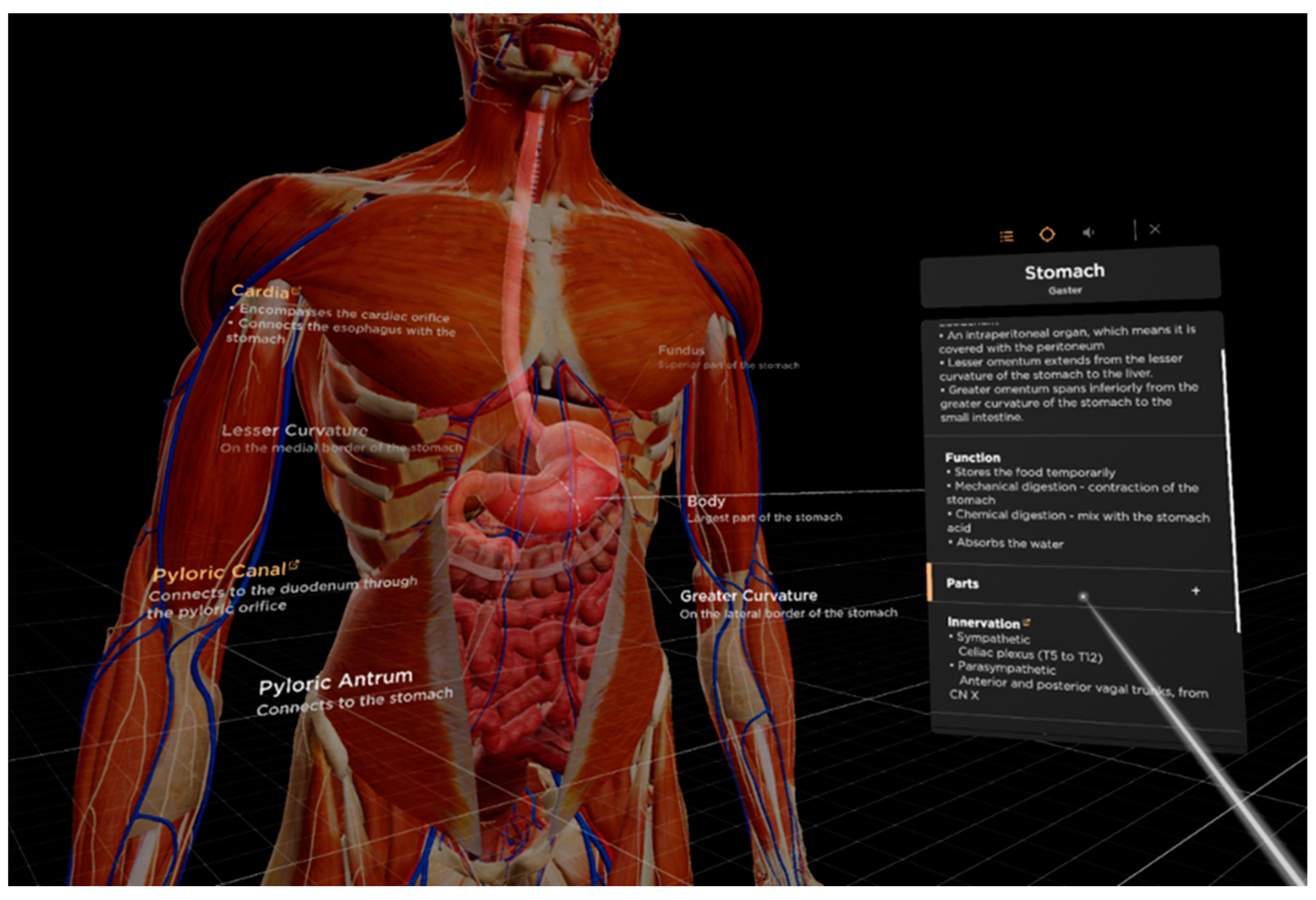 Current Perspective of Metaverse Application in Medical Education ...