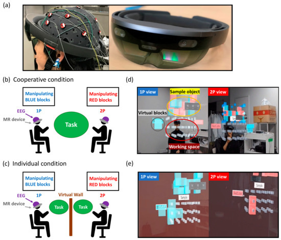 Inter-Subject EEG Synchronization during a Cooperative Motor Task in a Shared Mixed-Reality ...
