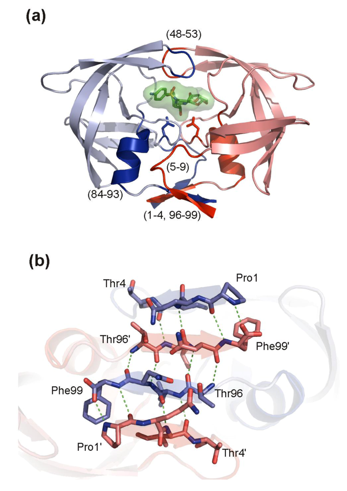 Current and Novel Inhibitors of HIV Protease