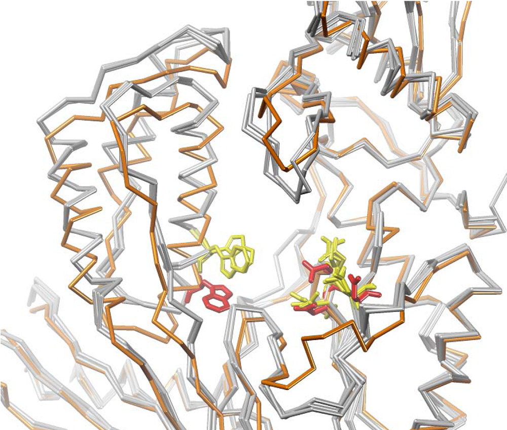 HIV-1 RT Inhibitors with a Novel Mechanism of Action: NNRTIs that ...