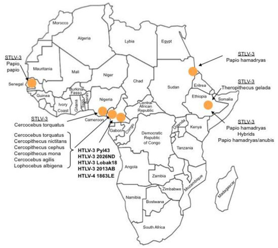 HTLV-3/STLV-3 and HTLV-4 Viruses: Discovery, Epidemiology, Serology and ...