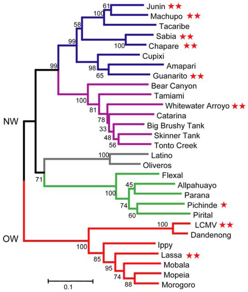 The Curious Case of Arenavirus Entry, and Its Inhibition